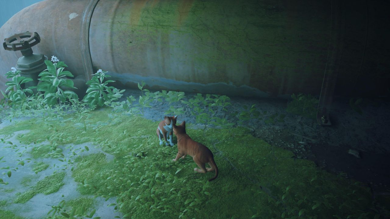 Stray: How To Get Past First Area