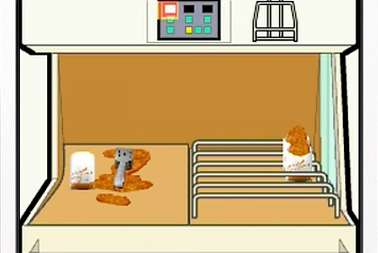 McDonald's DS: Everything You Need To Know & How To Play It